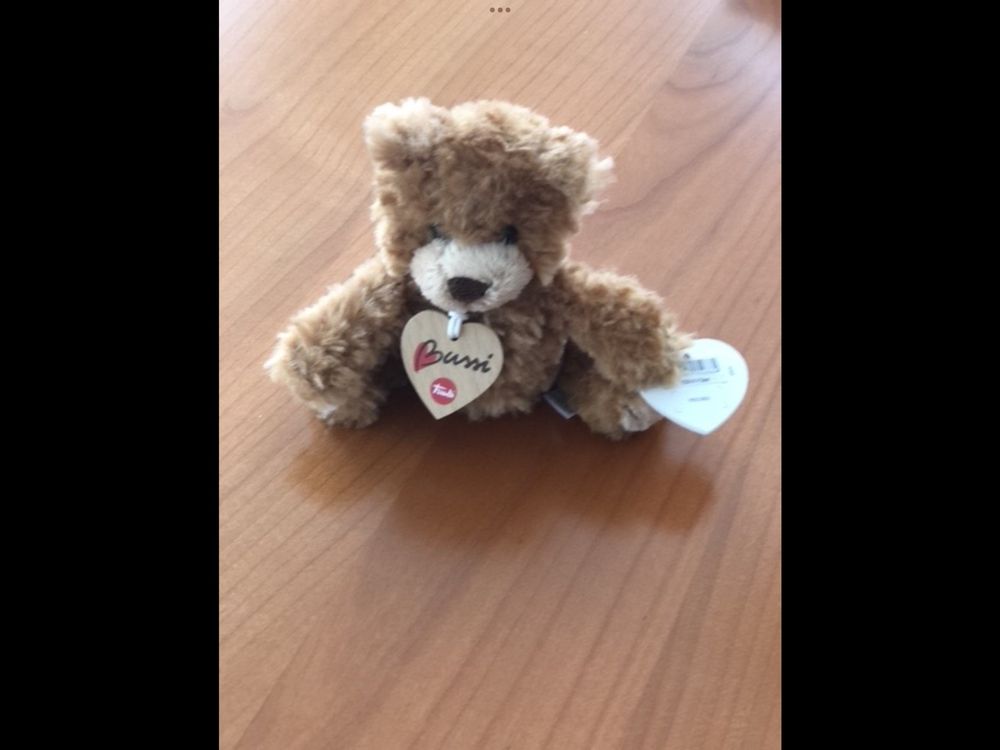 Trudi / Bussi - Bär (Gebraucht) in Bern für CHF 8 – mit Lieferung auf ...
