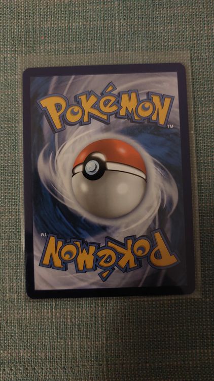 Cinccino Illustration Rare Temporal Forces | Kaufen auf Ricardo