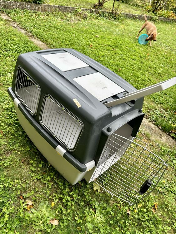 Hundetransportbox Medium (Gebraucht) in Bern für CHF 50 – nur Abholung auf Ricardo kaufen