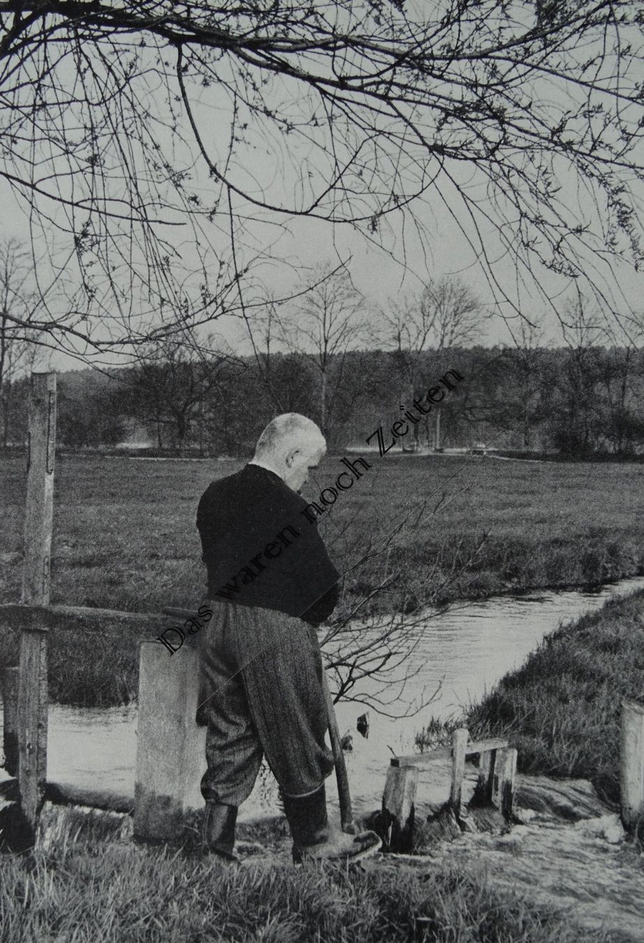 Bern Langenthal "Wässer-Bammert" damals (Gebraucht) in Safnern für CHF ...