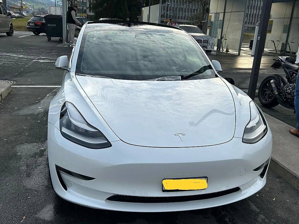 Tesla Model 3 Long Range Dual Motor, 8 Reifen- Top Zustand! (Gebraucht ...