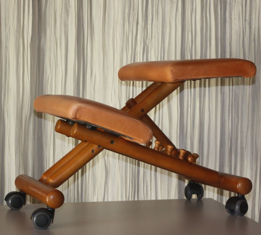 Stokke Varier Multi Balans Leder braun, LIEFERUNG inklusive (Gebraucht) in Toffen für CHF 259 ...