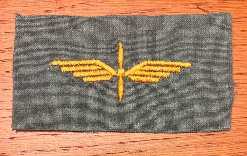 Badge pilote Abzeichen Pilot Luftwaffe Schweiz armée (Gebraucht) in ...