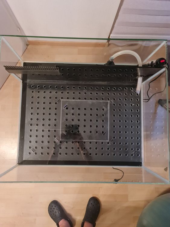 Ablegerbecken Frag Tank | Kaufen auf Ricardo