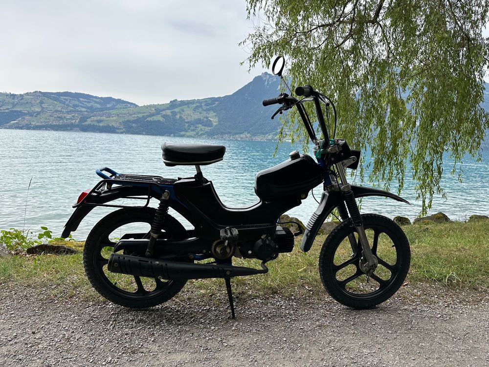 Pony Cilo 521 Cross Frisch Geprüft | Kaufen auf Ricardo