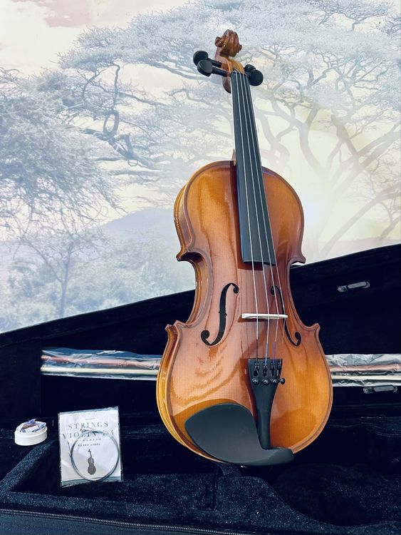 Violine 4/4 Neue Komplettset (Neu und originalverpackt) in Kirchberg SG ...