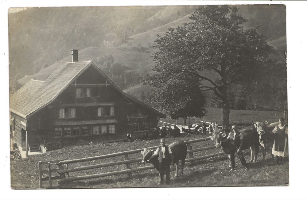 Wirtschaft Alp Altschwand (ZH) Goldingertal Bauernhaus 1914 | Kaufen auf Ricardo