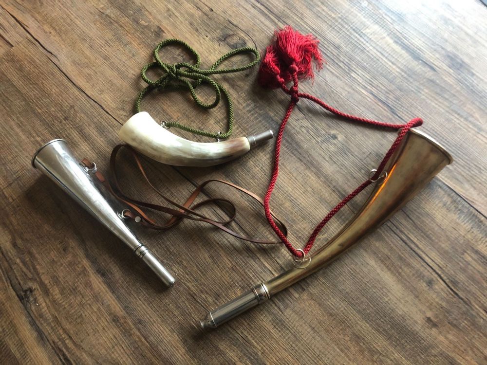3 JAGDHÖRNER ( HORN ) FÜR JÄGER (Gebraucht) in Safenwil für CHF 33 ...