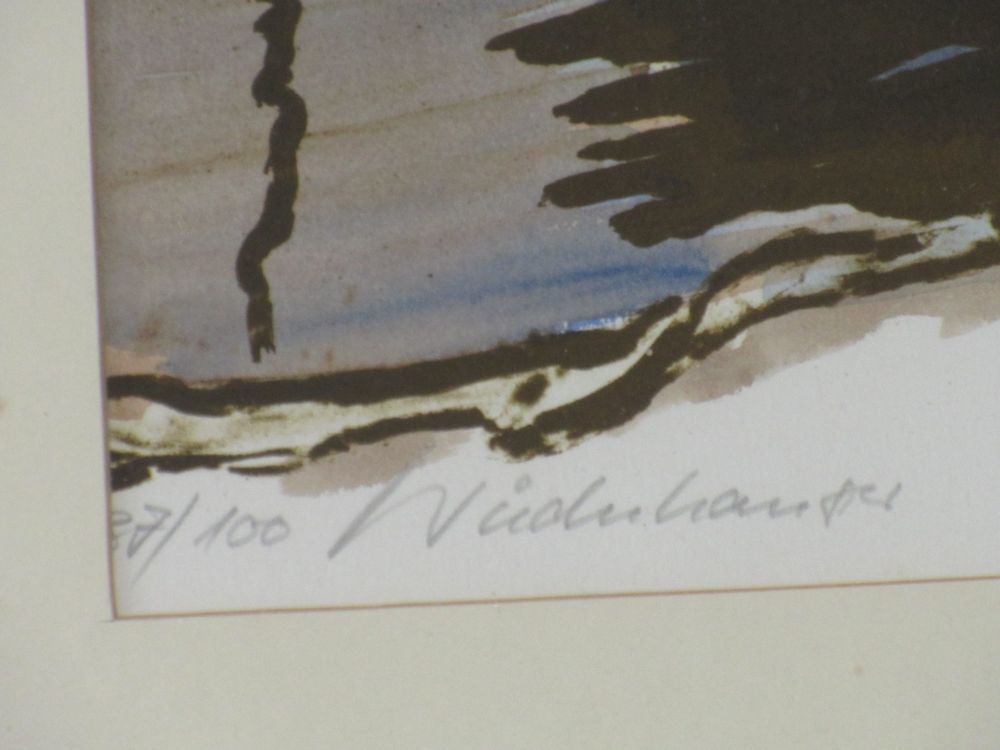 Niederhauser colorierte Lithographie BODENSEE sig/num. ger. (Gebraucht ...