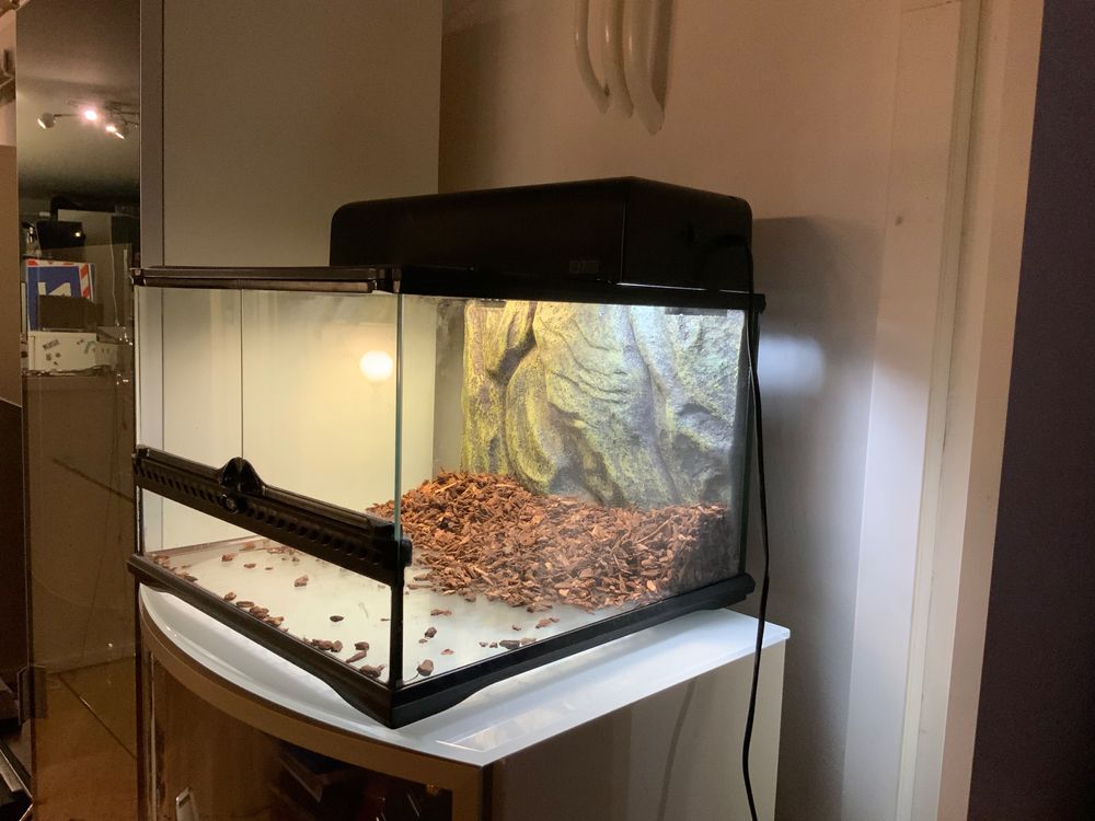 Terrarium EXO Terra mit Lampe (Gebraucht) in Rorschach für CHF 61 – mit ...