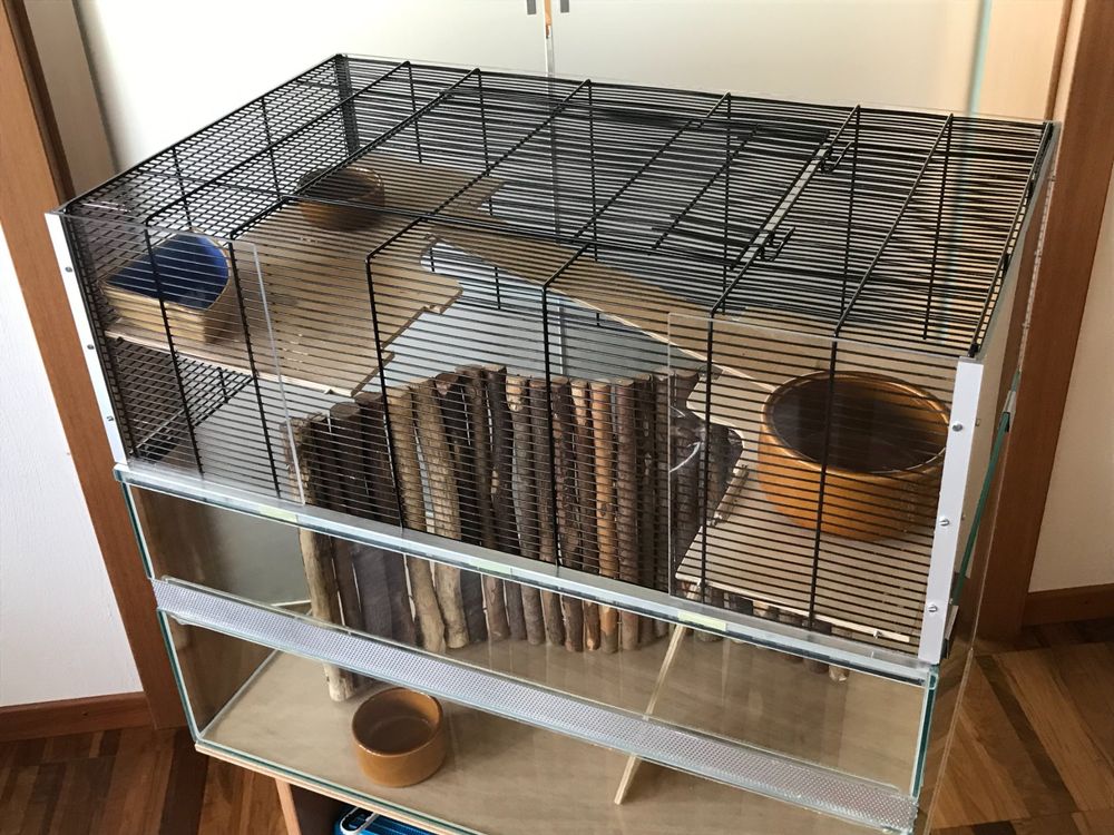 Mäusekäfig Glas / Gitter mit Unterbau (Gebraucht) in Altstätten SG für ...