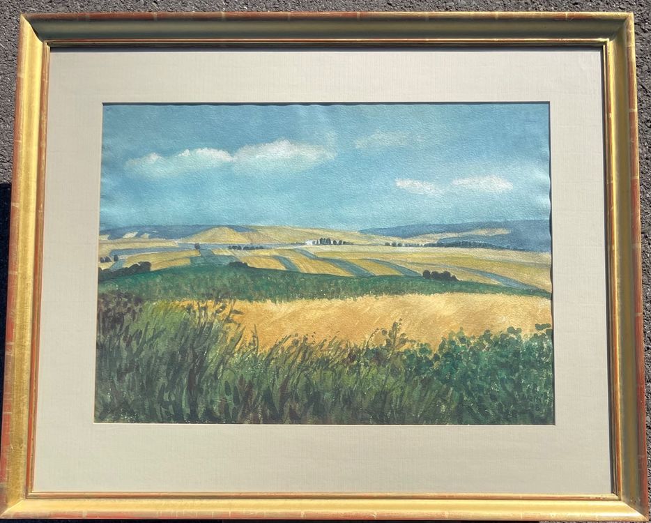 Grosses faszinierendes Feld Landschaft Aquarell Signiert (Gebraucht) in Root für CHF 19 – nur ...