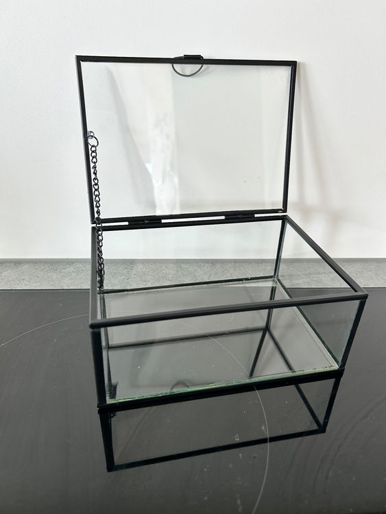 Glasbox Aufbewahrungsbox aus Glas Vitrine (Gebraucht) in Lenzburg für ...