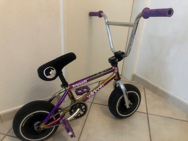 BMX Mini Rocker Wildcat (Gebraucht) in für CHF 140 – nur Abholung auf ...