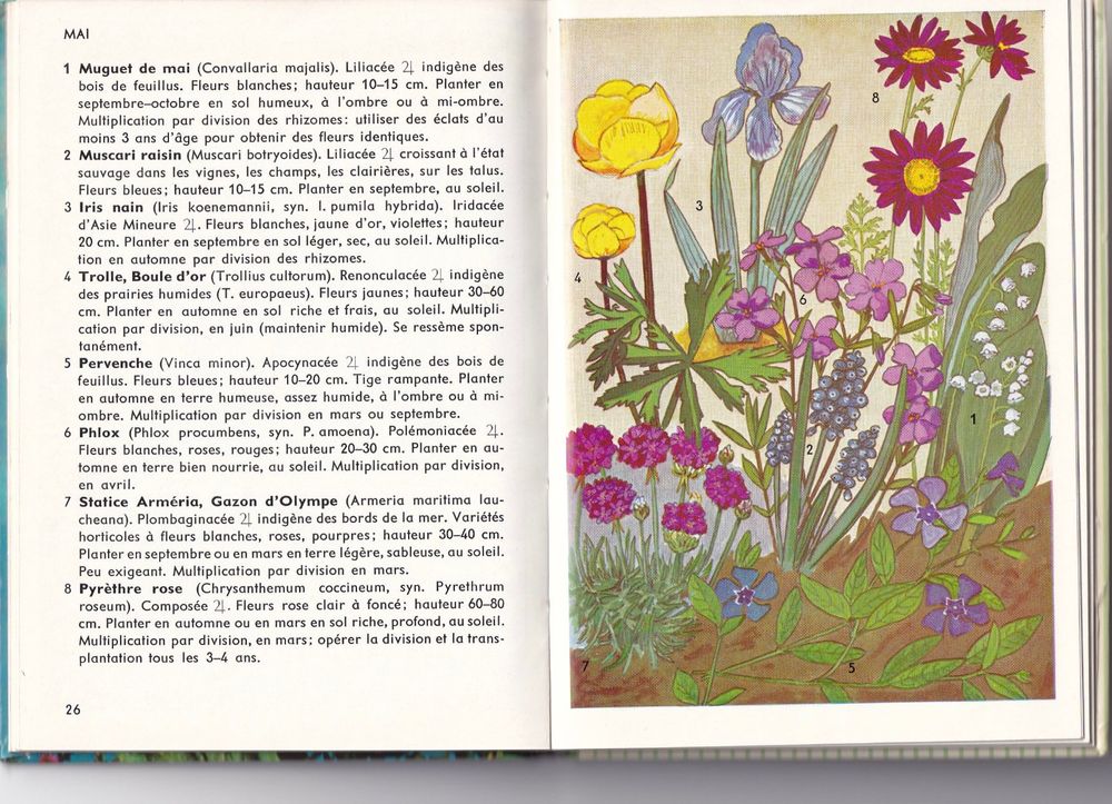 Fleurs de jardin - H. de Bronsart - Petit atlas Payot (D'occasion) à ...
