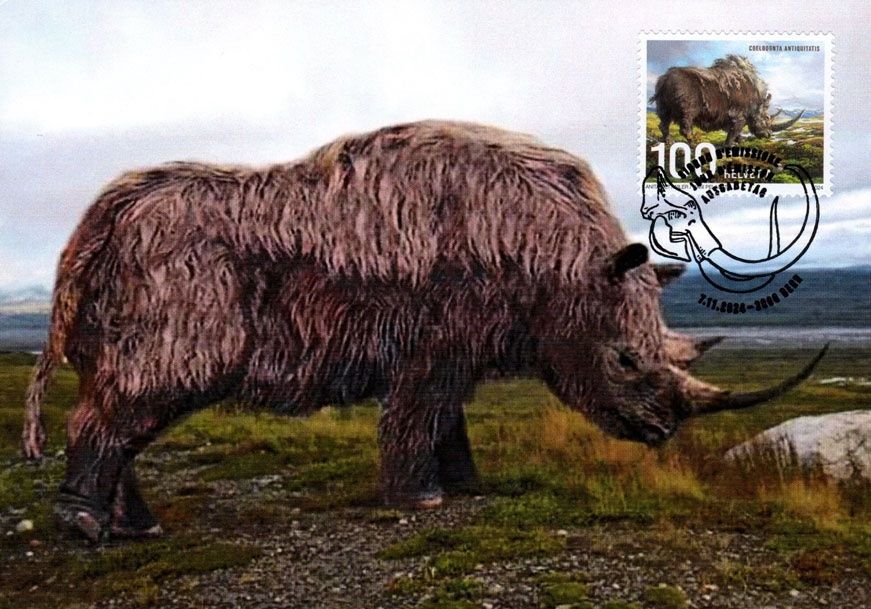 Maximumkarte Riesen der Eiszeit - Wollnashorn (Neu (gemäss Beschreibung)) in Dottikon für CHF 4 ...