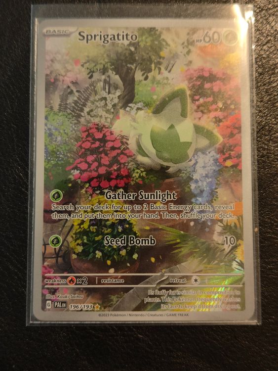 PAL 196 Spirigatito EN Paldea Evolved | Kaufen auf Ricardo