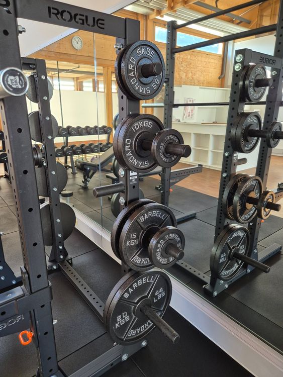 ROGUE FITNESS OLYMPIC PLATES | Kaufen auf Ricardo