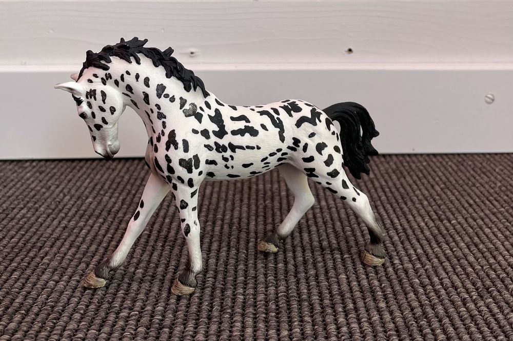 Schleich Pferd Knabstrupper 13769 (Gebraucht) in Winterthur für CHF 3 – mit Lieferung auf ...