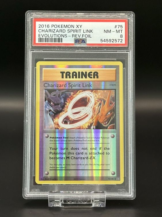 Pokémon PSA 8 Charizard Spirit Link XY Evolutions 2016🔥🔥🔥 (Gebraucht ...