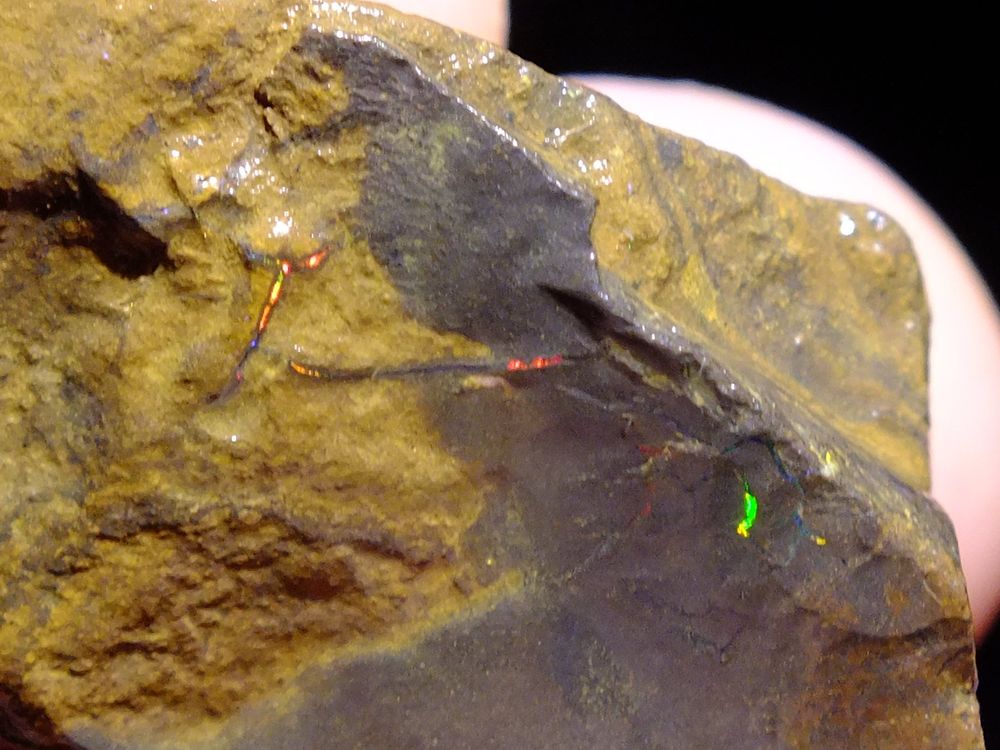 BOULDER ROH OPAL 72 Karat Gebot 1.- Elektrisch Pin feuer (Neu und ...