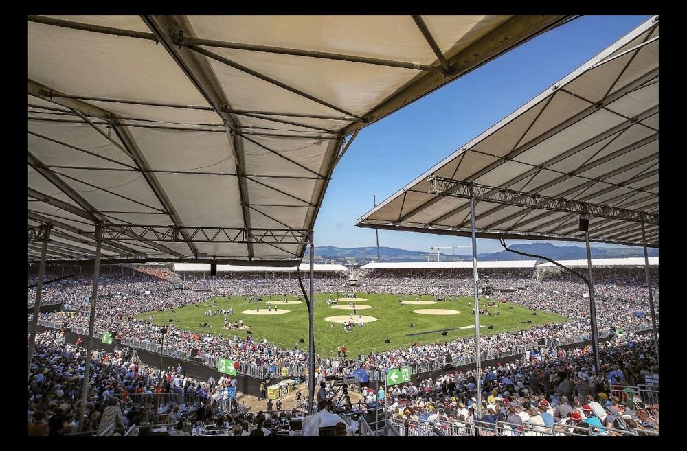 ESAF Mollis 2025 - TOP 2-Tagesticket - Sitzplatz Tribüne A (Neu (gemäss ...
