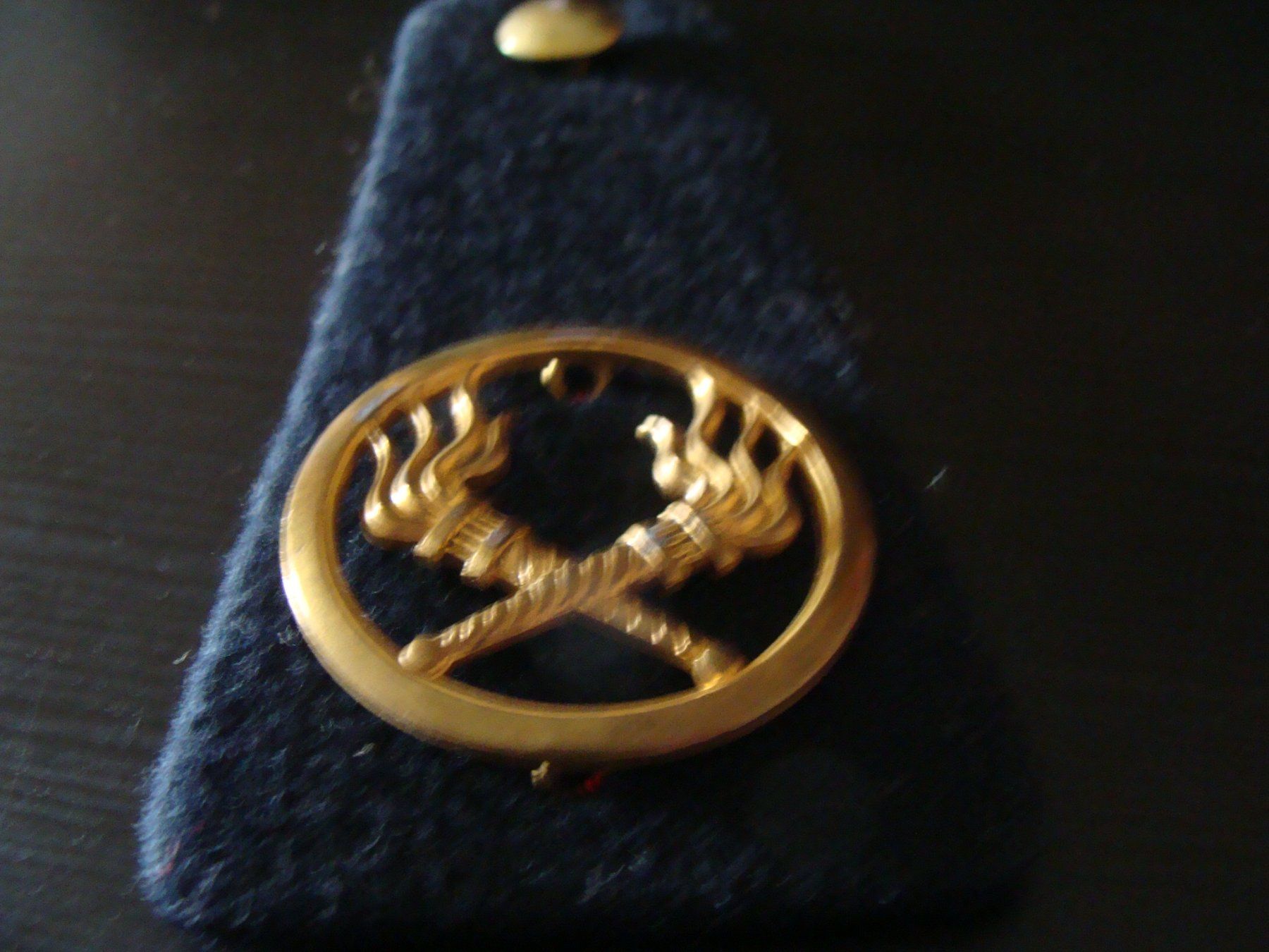 Epaulette militaire, provenance, France (D'occasion) à Cuarny pour CHF ...