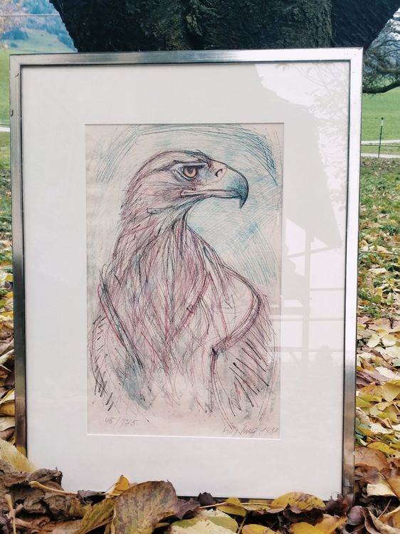 grosse Orig. Lithografie Fritz Hug nummeriert signiert Adler (Gebraucht) in Küssnacht am Rigi ...