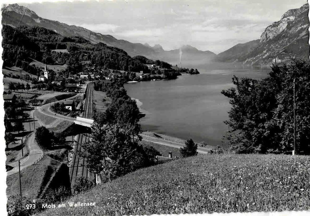 Mols am Walensee (Gebraucht) in Sulz AG für CHF 8 – nur Abholung auf ...