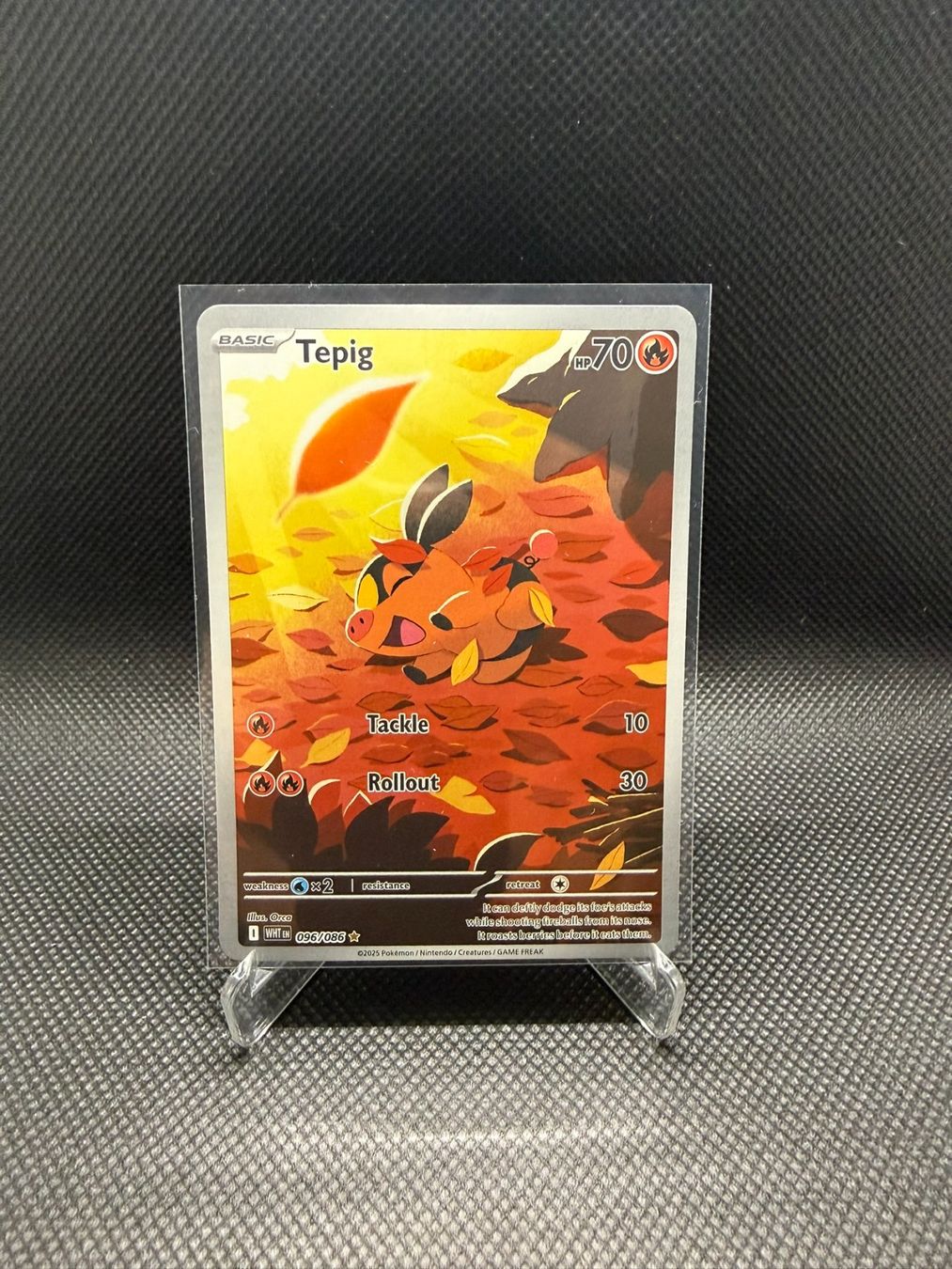 Pokemon White Flare Tepig Illustration Rare 096/086 (Gebraucht) in Horn ...