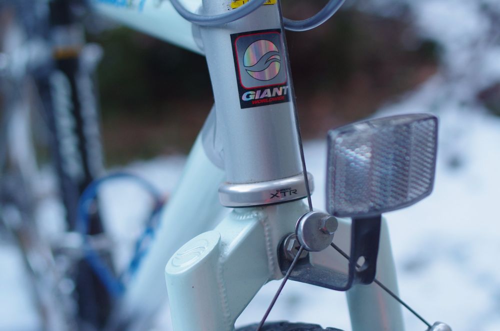 Giant Cadex CFM1 Carbon kult Mountainbike full Shimano XTR | Kaufen auf ...