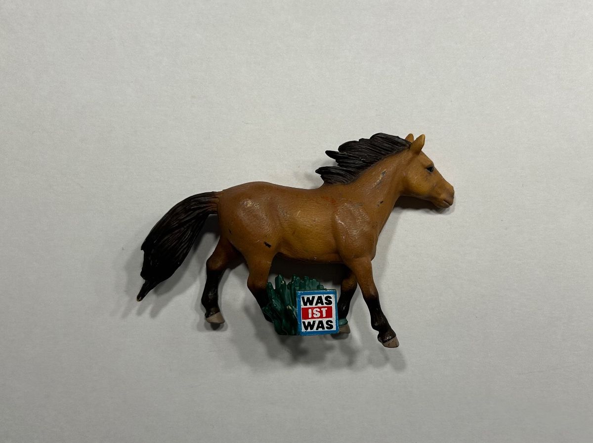 Tonie "Was ist was (Pferde)" (Rarität) (Gebraucht) in Bättwil für CHF ...