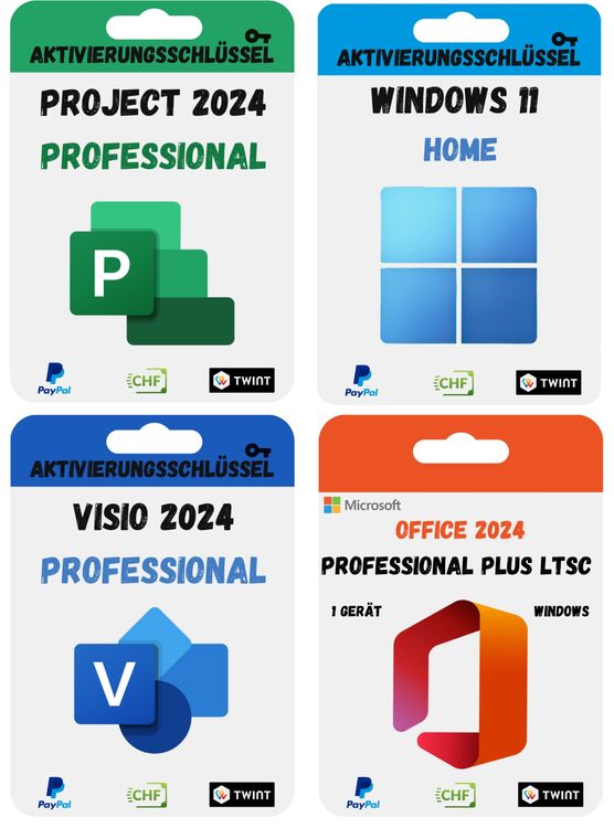 Office 2024 Pro Plus + Visio 2024+Project 2024+Windows 11 (Gebraucht ...