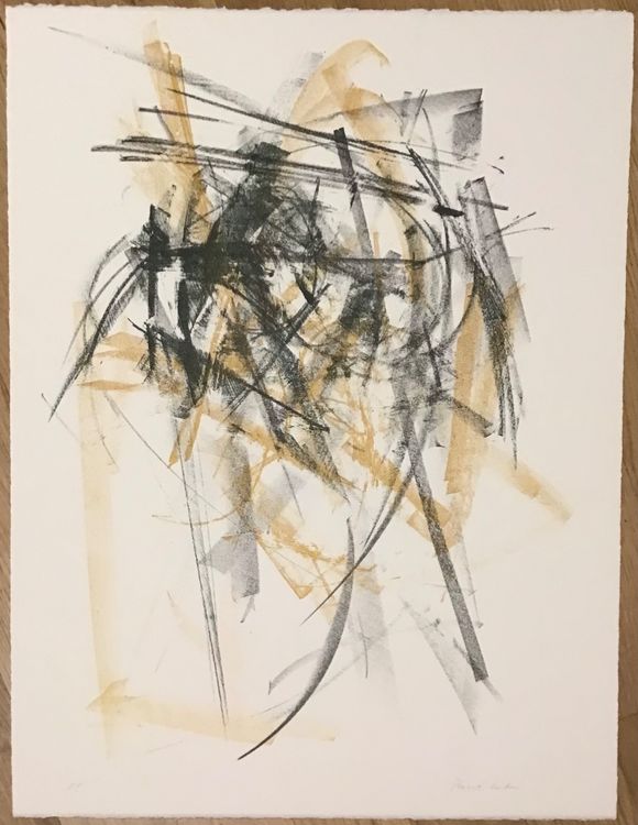 Paul SUTER (1926-2009) Sehr Seltener Lithographie Handsignie (Gebraucht ...