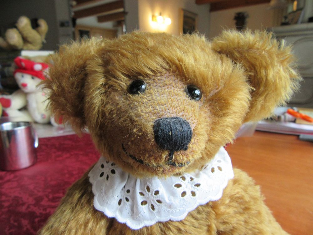 Teddy von Emmy Krienitz, braun mit Spitzenkragen, ca. 30 cm (Gebraucht ...