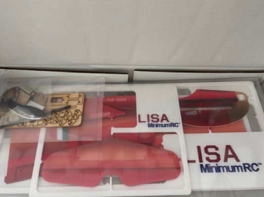 Lisa micro / 320mm Mini Funflieger (Neu und originalverpackt) in Hausen ...