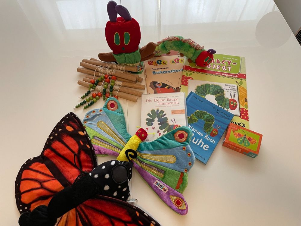 Set Raupe / Schmetterling (Gebraucht) in Gockhausen für CHF 119 – mit Lieferung auf Ricardo kaufen