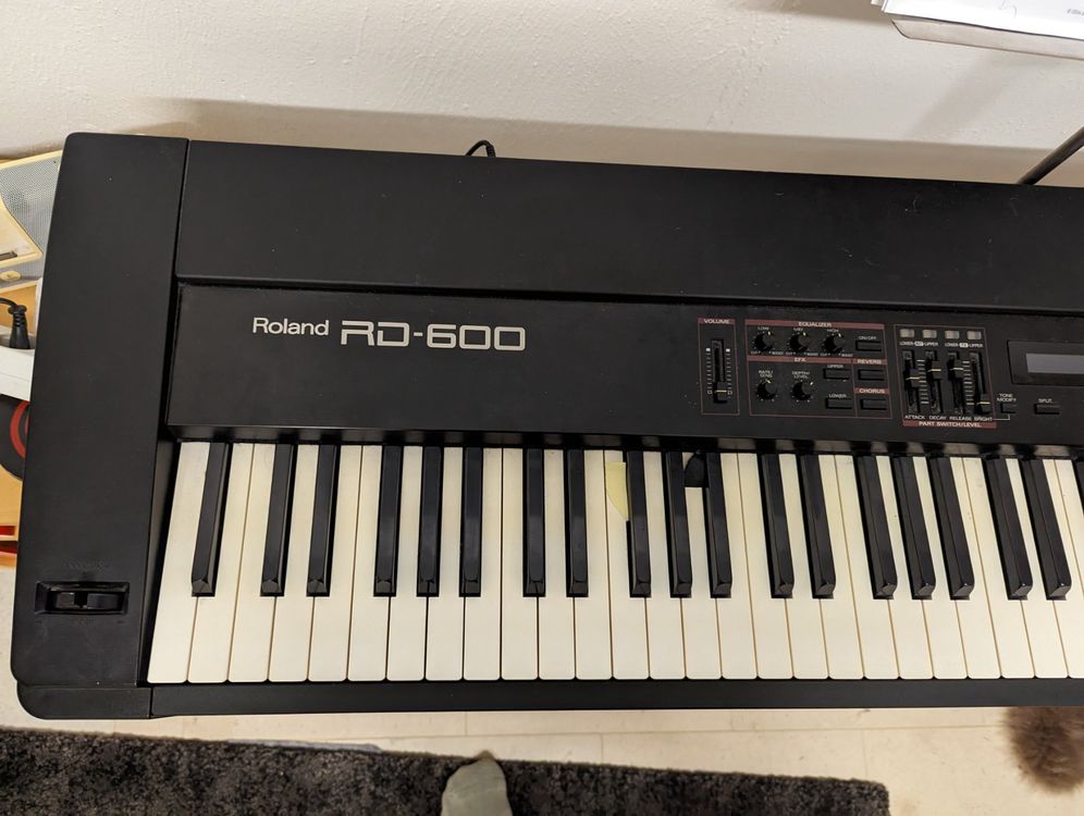 Roland RD600 ePiano gewichtete Tasten inkl. Stage Ständer (Defekt) in ...