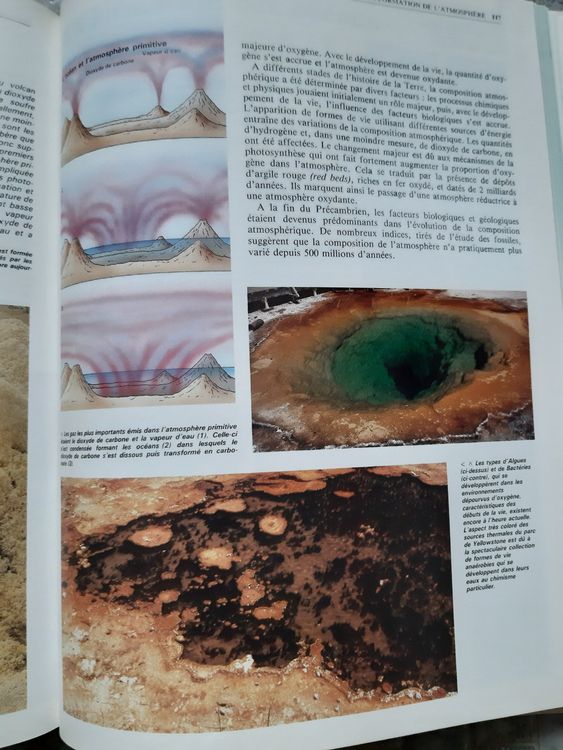 Livre (D'occasion) à Aigle pour CHF 9 – avec livraison | Acheter sur ...