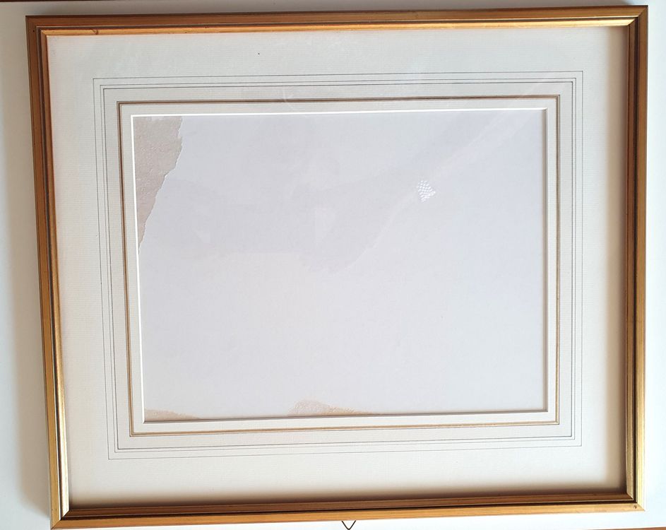 Bilderrahmen (für Stich, Akuarell oder Kunstbild) | Kaufen auf Ricardo Bilderrahmen (für Stich, Akuarell oder Kunstbild) | Kaufen auf Ricardo