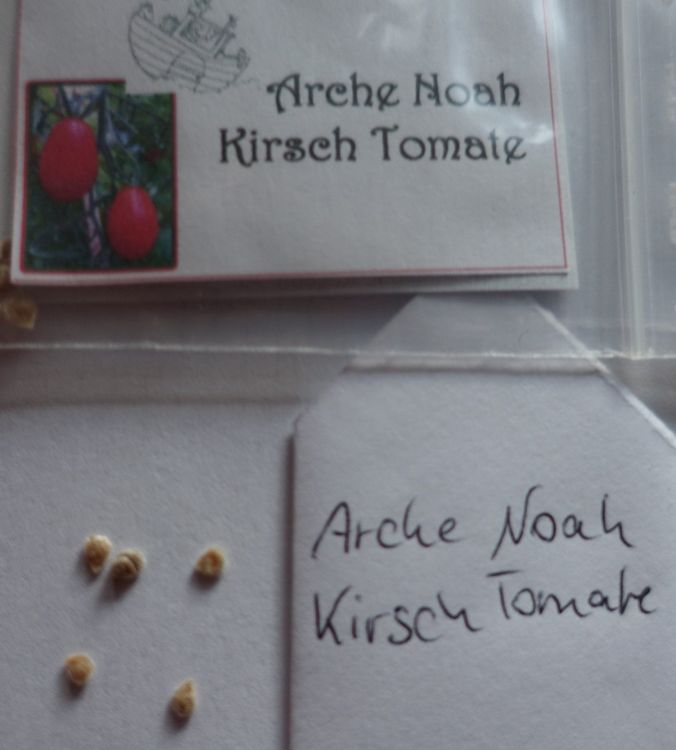 Tomatensamen Arche Noah Kirsch Tom. 5Stk. | Kaufen auf Ricardo