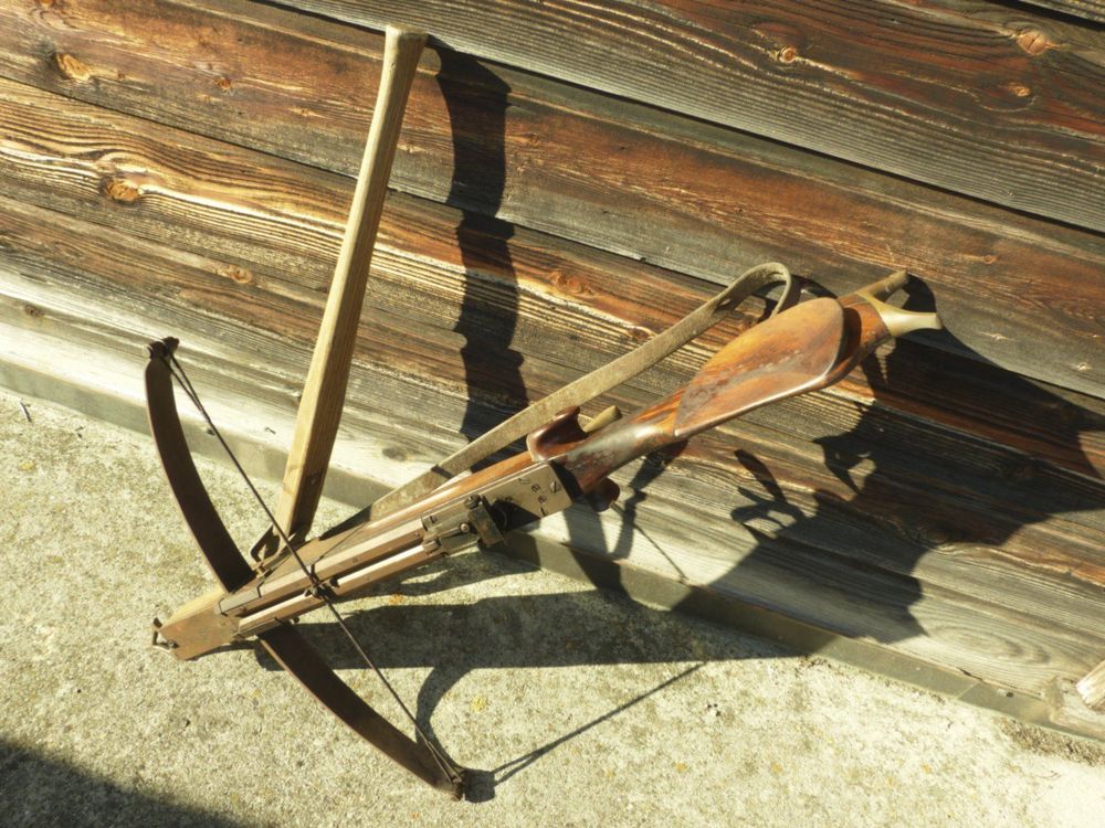 Armbrust | Kaufen auf Ricardo