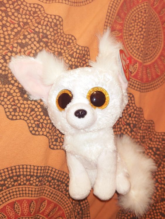 Glubschi Eisfuchs oder Fennek (Neu (gemäss Beschreibung)) in Lengnau AG ...