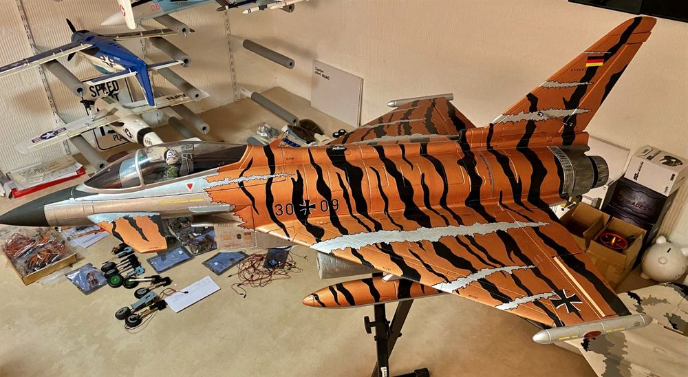 Freewing Eurofighter V2 "Bavaria Bronze Tiger" 90mm Luxe (Neu (gemäss Beschreibung)) in Adliswil ...