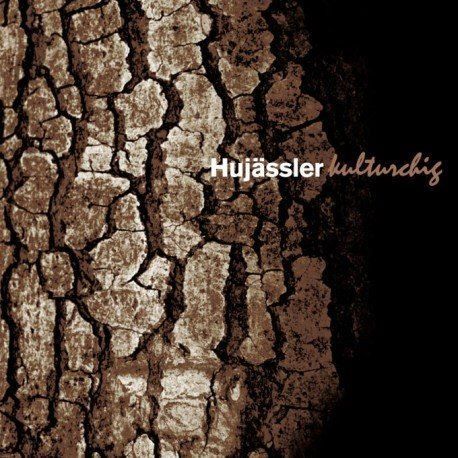 Hujässler KULTURCHIG Markus Flückiger Dani Häusler Volksm.CD (Gebraucht ...