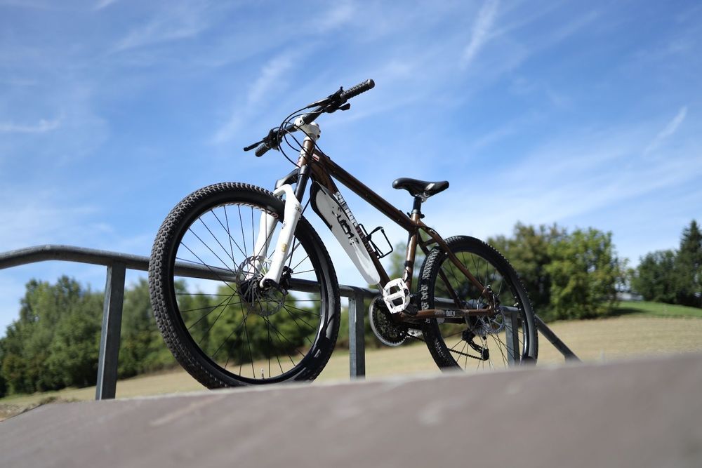 Mountainbike/Dirtbike/Cruising TREK/Superduty RH:45 (Gebraucht) in ...