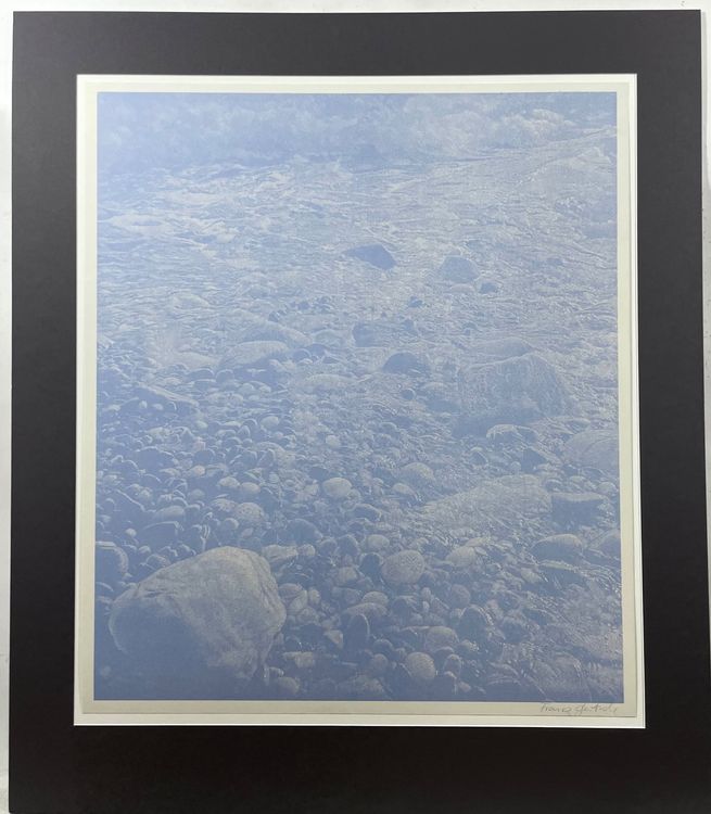 Franz Gertsch (1930-2022) Serigraphie Handsigniert (Gebraucht) in Root für CHF 895 – mit ...