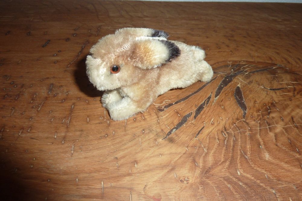 Hase, vermutlich Steiff, Loch, der Knopf ist weg, antik (Gebraucht) in ...