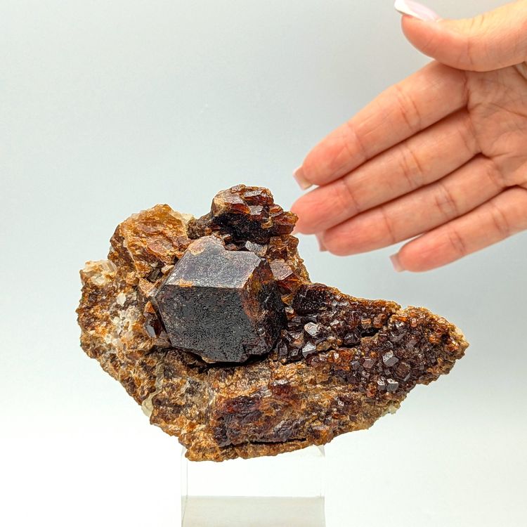 Grosse ANDRADIT, Dunkler GRANAT, 4 cm, Tansania (Nuovo (secondo la ...