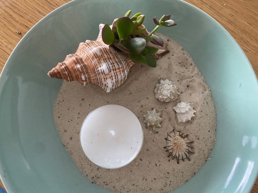 Dekorations Sand, Muscheln und Pflanzen | Kaufen auf Ricardo